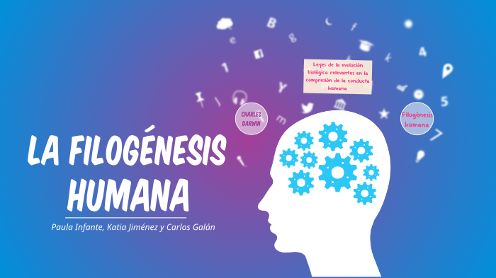 filogénesis humana by cipimagen ysonido on Prezi
