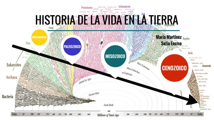 Historia De La Vida En La Tierra By Sofía Enciso Ortega On Prezi