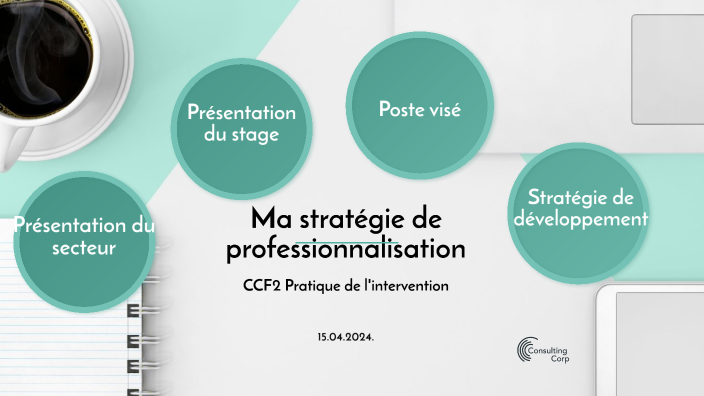 Stratégie de professionalisation by Charlélie Miancien on Prezi
