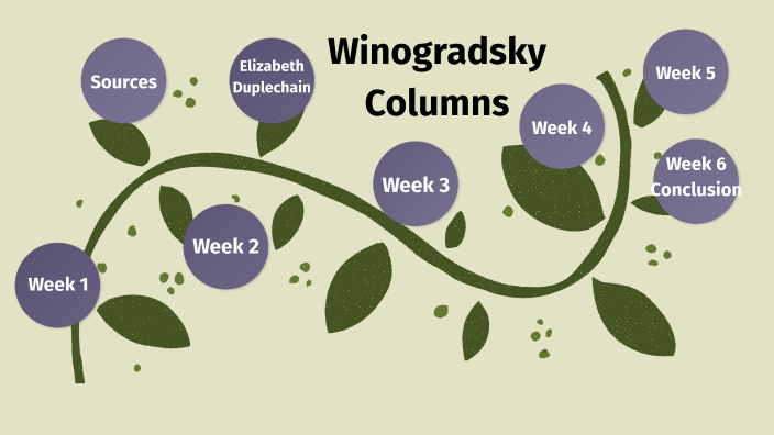 ED- Winogradsky Columns Project by Elizabeth Duplechain on Prezi