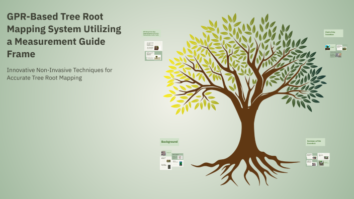 GPR-Based Tree Root Mapping System Utilizing a Measurement Guide Frame ...