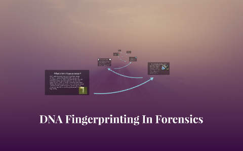 DNA Fingerprinting in Forensics by Samantha Bray on Prezi