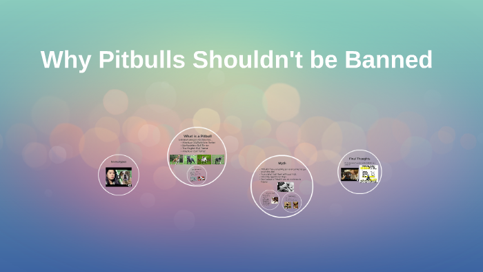 Why Pitbulls Shouldnt be Banned by on Prezi