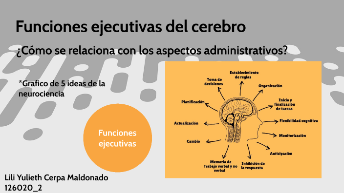 Funciones ejecutivas del cerebro by Lili Cerpa on Prezi