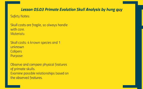 Lesson 05.03 Primate Evolution Skull Analysis by Hung Quy on Prezi