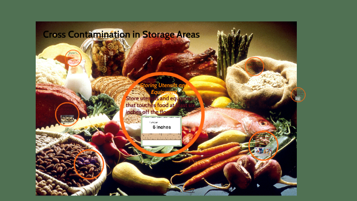 Cross Contamination in Storage Areas by Awesome Adams on Prezi