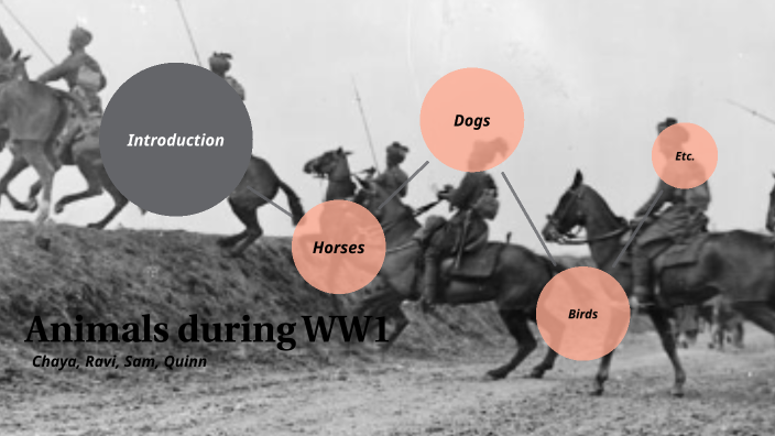 WW1 Presentation by Chaya Kurson on Prezi