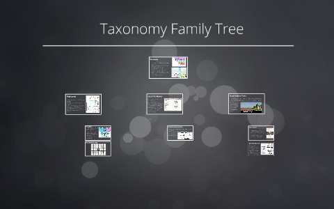 Classification Family Tree by Matthew Lane on Prezi