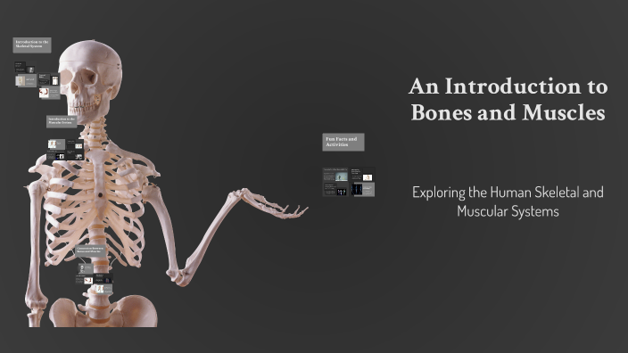 An Introduction to Bones and Muscles by ocean mandin on Prezi