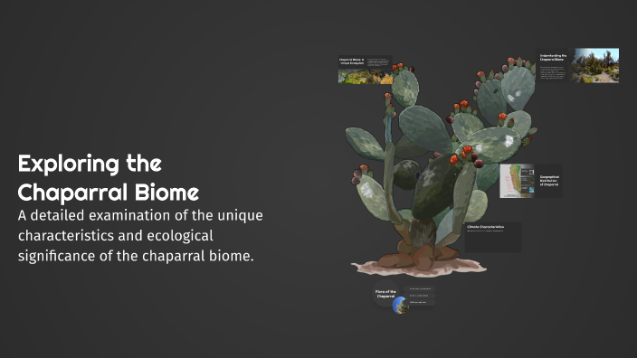 Exploring the Chaparral Biome by Landon Melton on Prezi