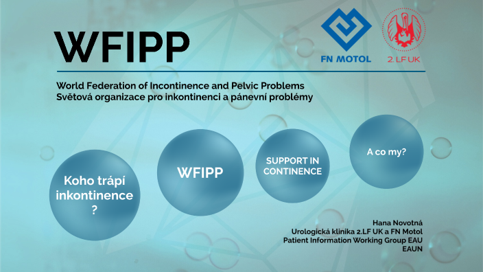 WFIPP by Hana Novotná on Prezi