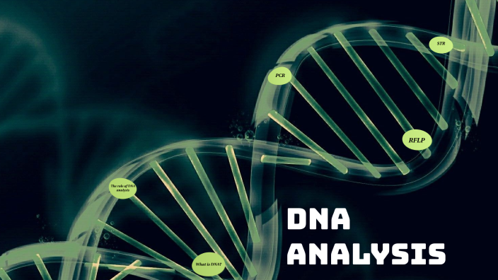 DNA ANALYSIS by Irene Garritano on Prezi
