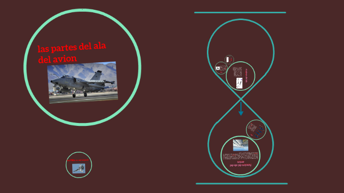 la partes del ala by Daniiel Zelaya on Prezi