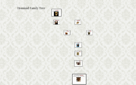 Hominid Family tree by Julianne Bartlett on Prezi