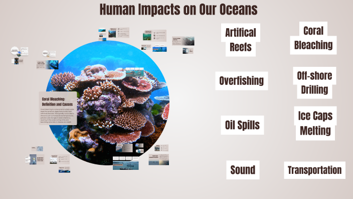 Human Impacts on Our Oceans: Understanding and Mitigating Effects by ...