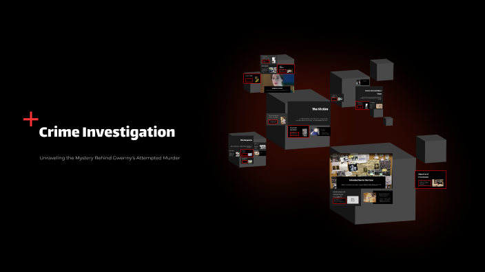 Crime Investigation by Lin Berghäuser on Prezi