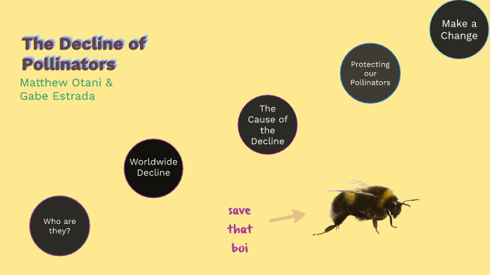 The Decline of Pollinators by Gabriel Estrada on Prezi