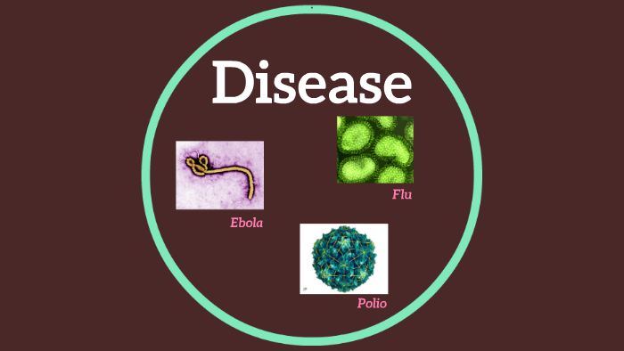 Diseases - Year 11 Biology Introduction by Laura Desmond on Prezi