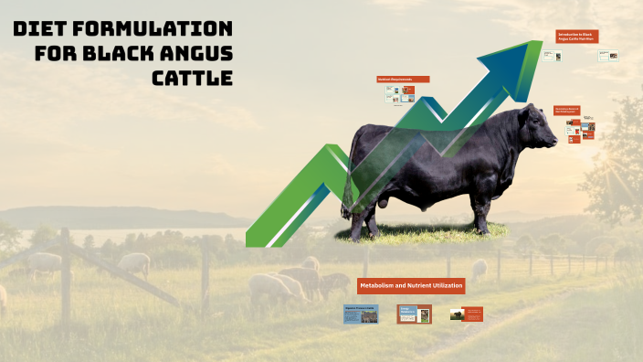 Diet Formulation for Black Angus Cattle by Charlie wyant on Prezi