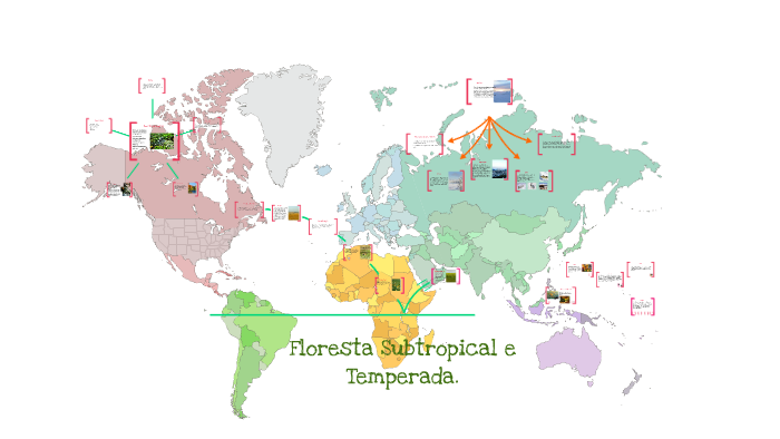 Floresta Subtropical e Temperada by Thompson Griffo by Thompson Griffo ...