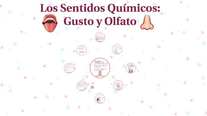 Los Sentidos Químicos: Gusto y Olfato by Estefanía Sanchez on Prezi