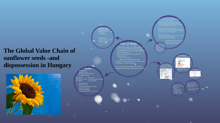 The global value chain of sunflower seeds -and dispossession by laila ...