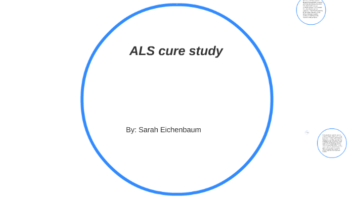 Dengue fever study by Sarah Eichenbaum