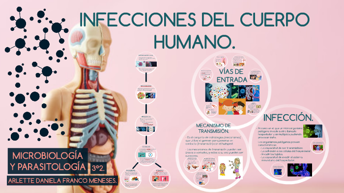 INFECCIONES EN EL CUERPO HUMANO. by Daniela Franco Meneses on Prezi