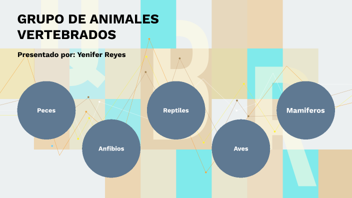 Grupo de animales vertebrados by YENIFER REYES on Prezi
