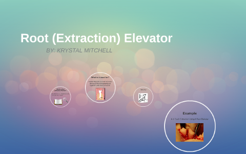 What is a Root (extraction) Elevator? by Krystal Mitchell on Prezi
