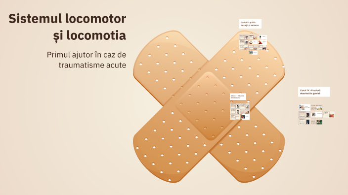 Sistemul locomotor și locomotia by Lia Dubau on Prezi