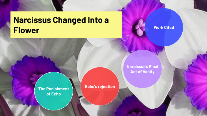 Retelling of Ovid's Metamorphoses by Sofia Avelina Pelera on Prezi