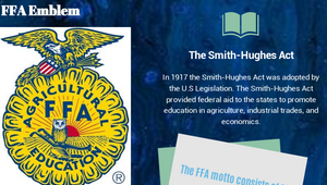 FFA INFOGRAPHIC by Abigail Holbrook on Prezi Design