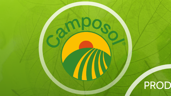 CAMPOSOL S.A by samantha bravo on Prezi