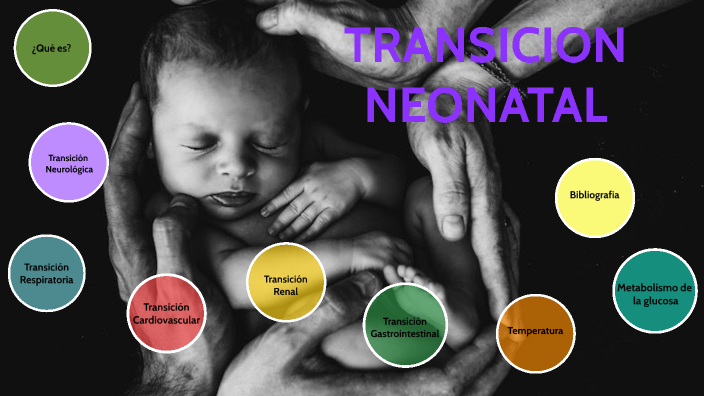 Transicion neonatal by Florencia Rezk Carrizo on Prezi Next