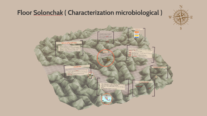 Suelo Solonchak (Caracterizacion microbiologica) by yuri jacobo garcia