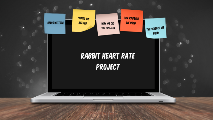 Rabbit Heart Rate Project by Kara Moore on Prezi