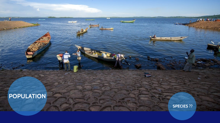 Lake Victoria, Africa by Benita Frimpomaa on Prezi