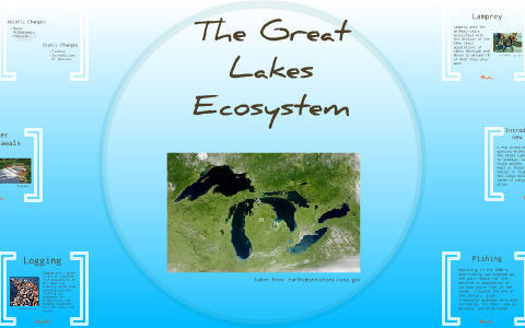 The Great Lakes Ecosystem by Chris Waluk