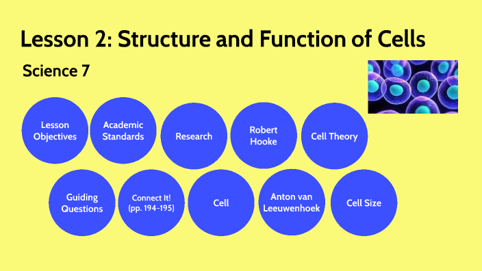 Science 7--Lesson 2 (Structure and Function of Cells) by Becky Clark on ...