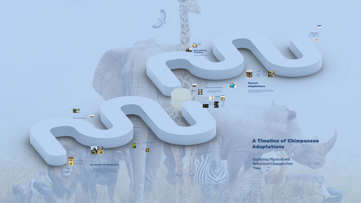 A Timeline of Chimpanzee Adaptations by Mahra Alshamsi on Prezi