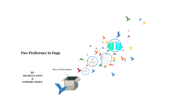 Paw Preference in Dogs by Michelle Soto on Prezi