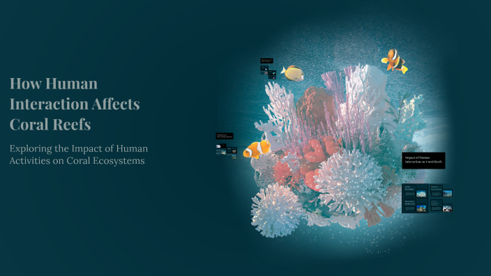 How Human Interaction Affects Coral Reefs by Nathaniel Wantland on Prezi