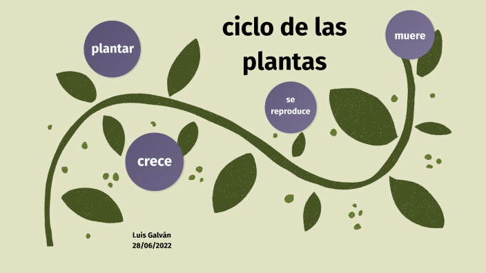 ciclo de vida de las plantas por luis Galván by luis enrique galvan ...