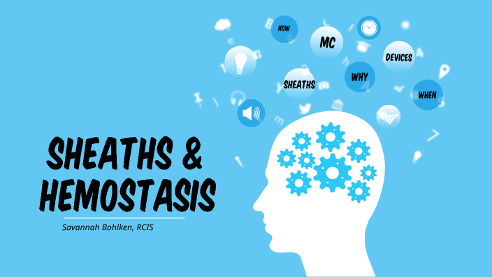 Sheath Sizes, Parts, & Manual Pressure by Savannah Bohlken on Prezi