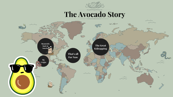 The Beautiful Story of Avocado by Abby Garcia on Prezi