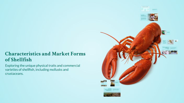 Characteristics and Market Forms of Shellfish by Denise Louise on Prezi