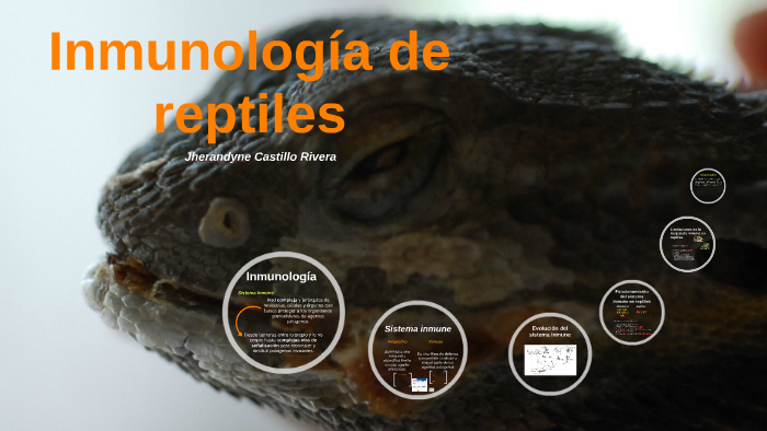 Inmunología de reptiles by Jherandyne Castillo on Prezi