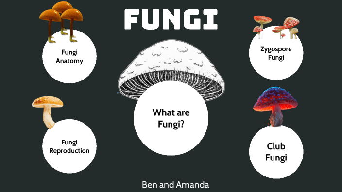 Fungi- Teaching a lesson CT by Ben Palmer on Prezi