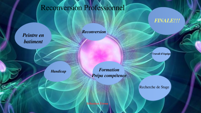Evolution professionnel by Sébastien Grenu on Prezi